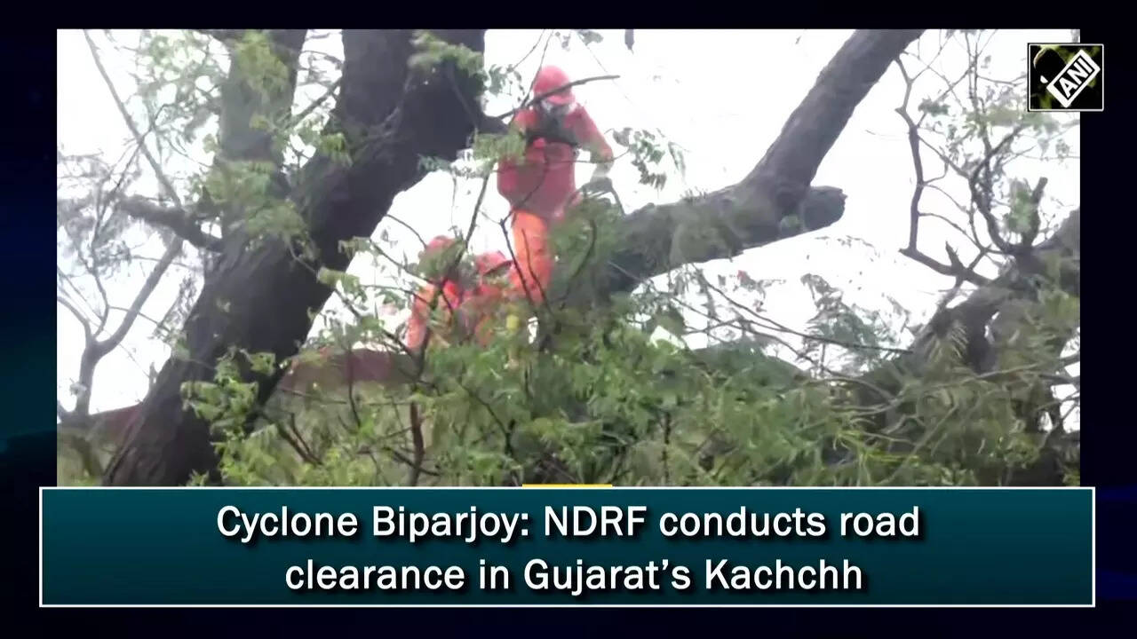 Cyclone Biparjoy: NDRF conducts road clearance in Gujarat’s Kachchh