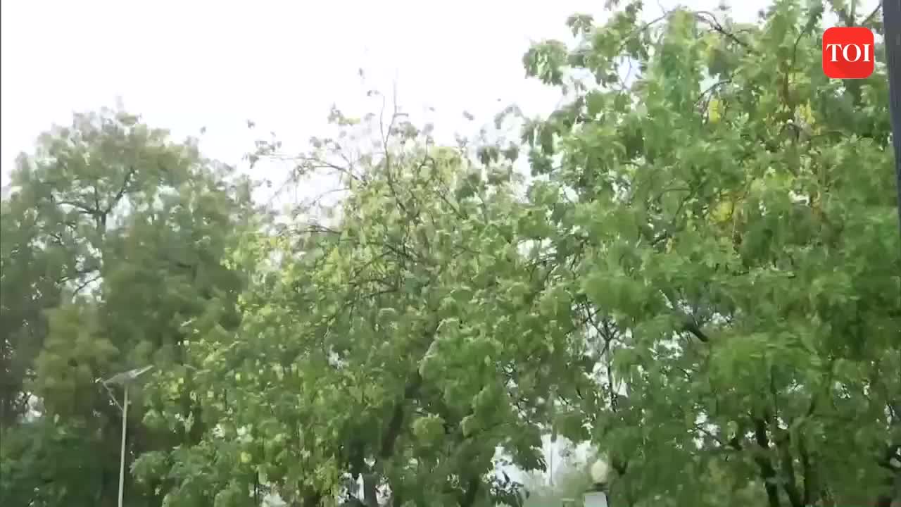 Gujarat: Rain lashes in Gandhinagar