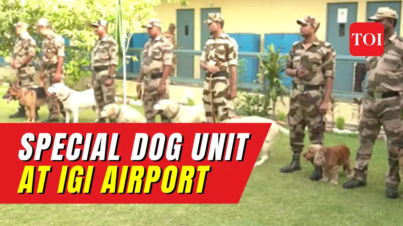 CISF’s special dog unit prepped up at IGI Airport ahead of G20 ...