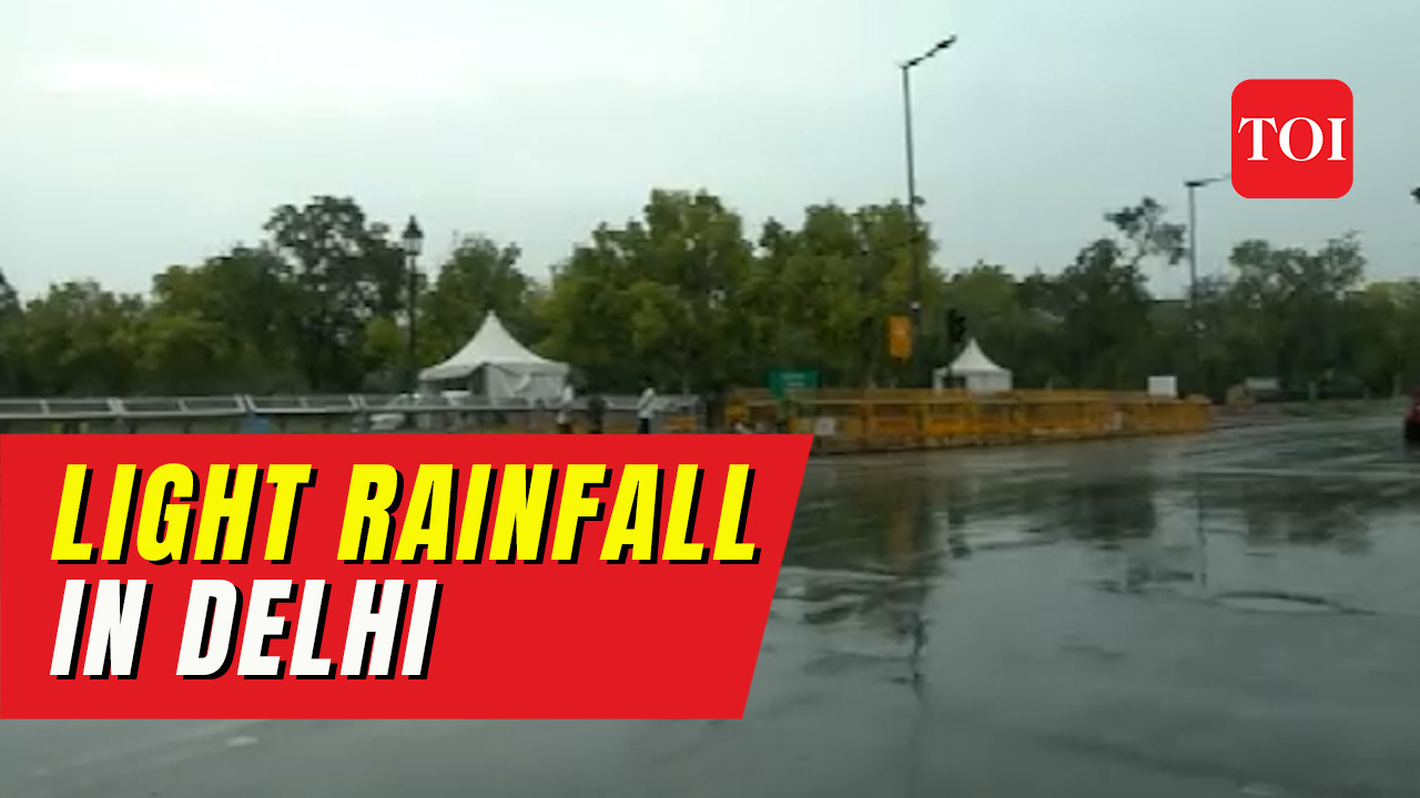 Refreshing relief: A respite from heat and pollution, Delhi delights in light rain