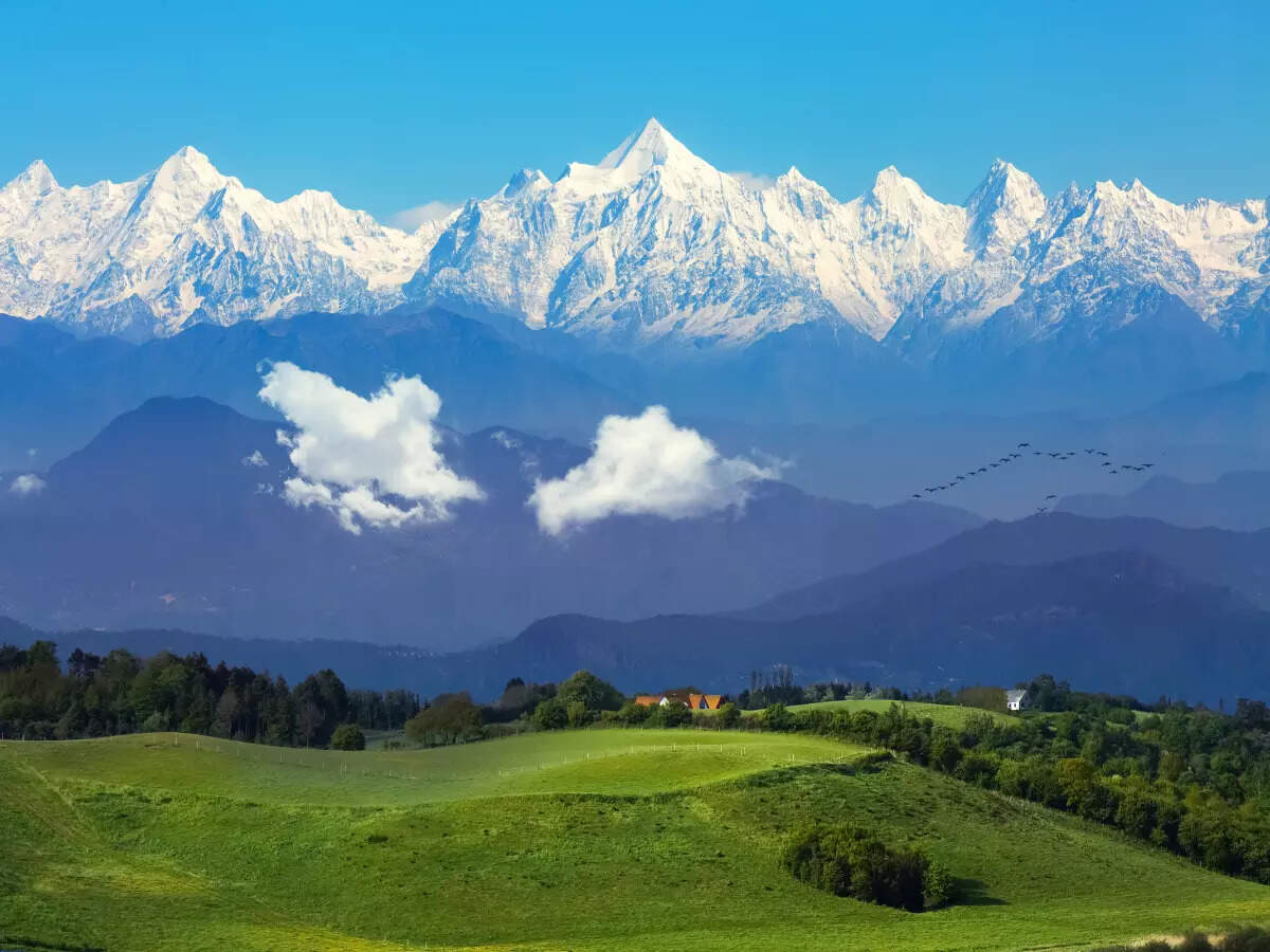 Unveiling the Biodiversity of Binsar Wildlife Sanctuary, Uttaranchal ...