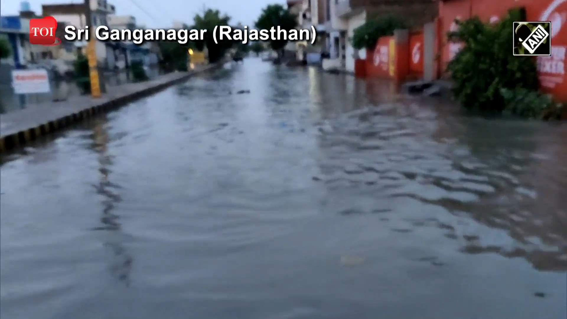 Rajasthan: Sri Ganganagar City reels under severe waterlogging post heavy rainfall