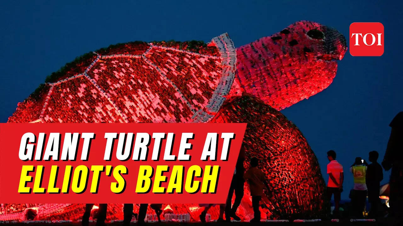 Giant turtle made of plastic makes a statement against single-use plastic