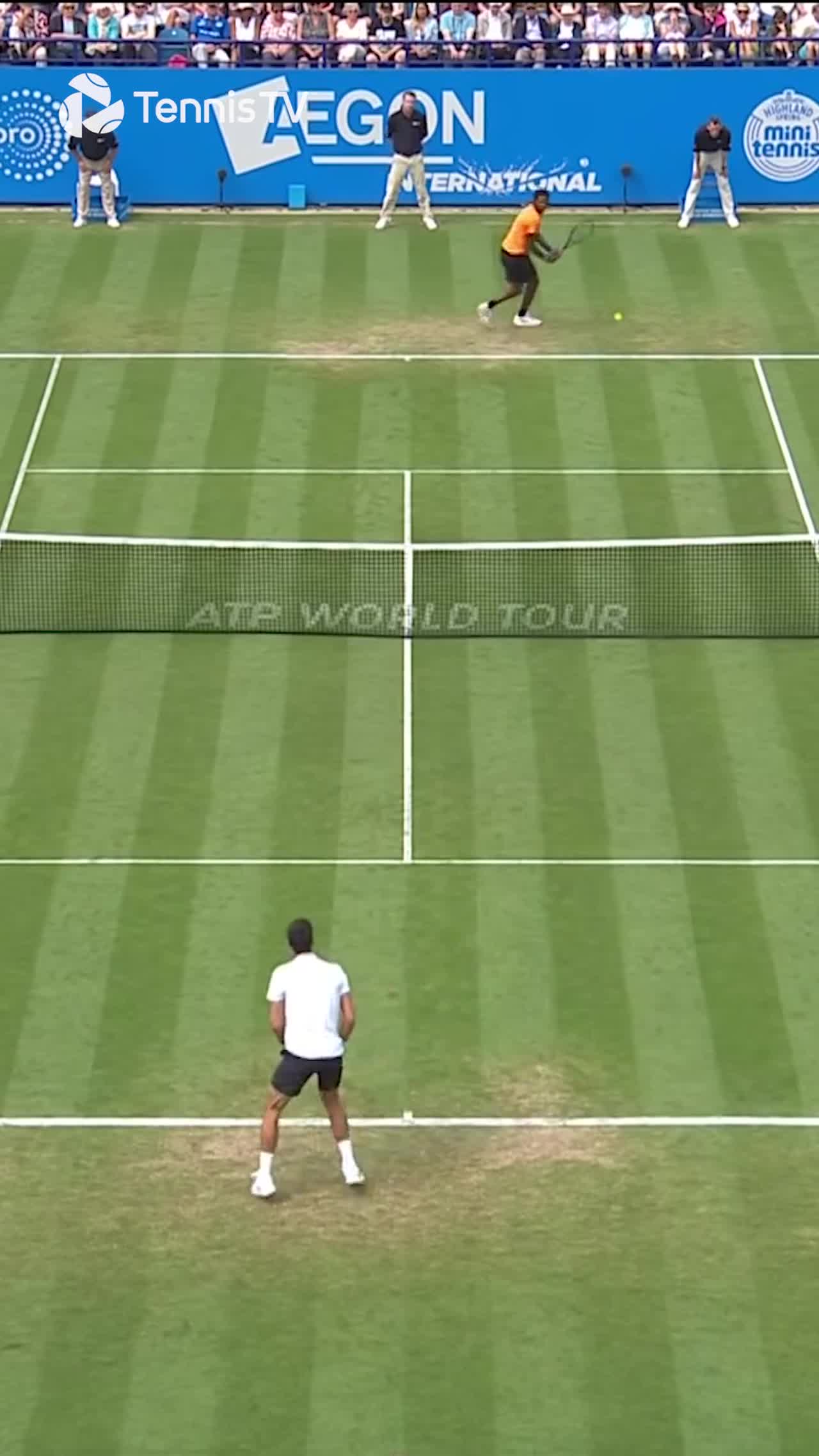 Eastbourne International: Novak Djokovic's magical shot against Gaël ...