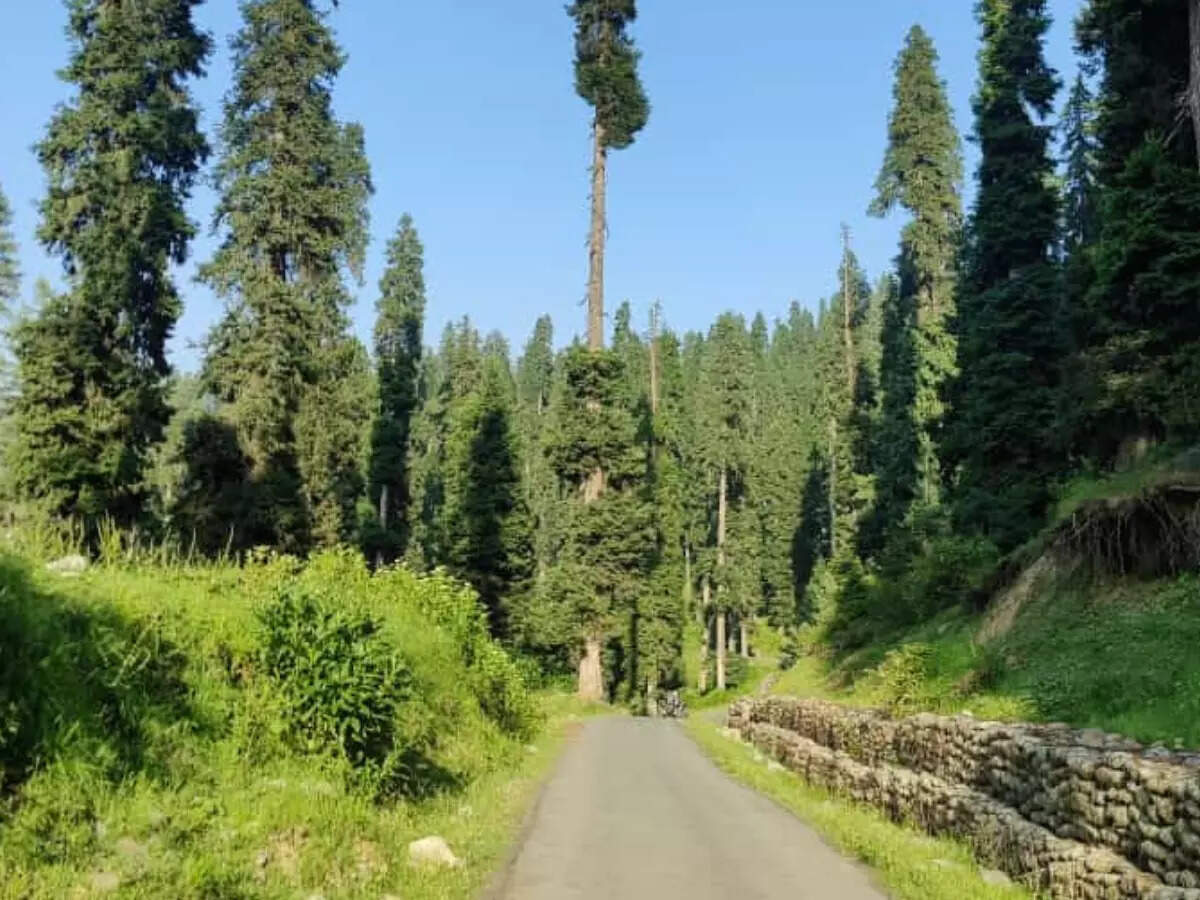 Drang, a peaceful wonderland, Jammu And Kashmir - Times of India Travel