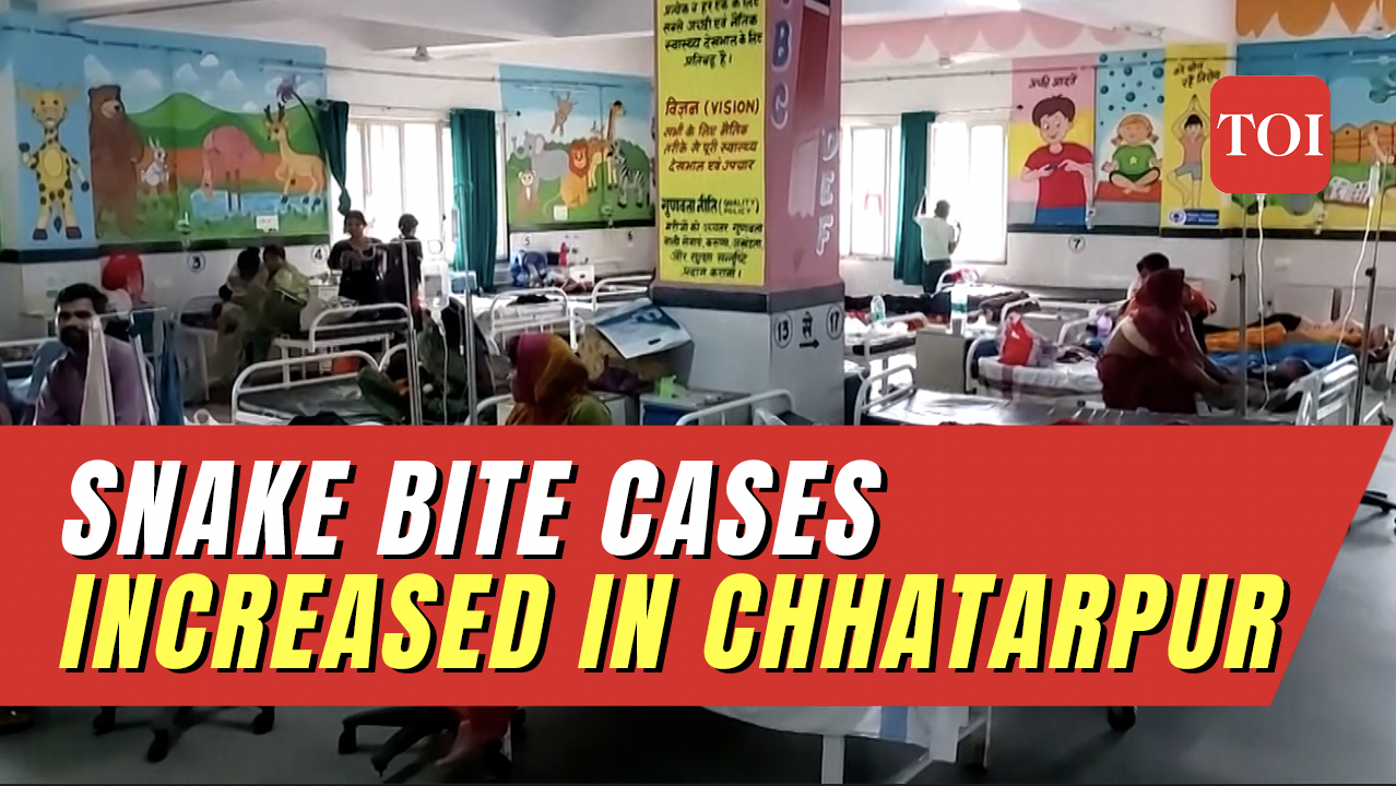 Snake bite cases on rise in Madhya Pradesh’s Chhatarpur