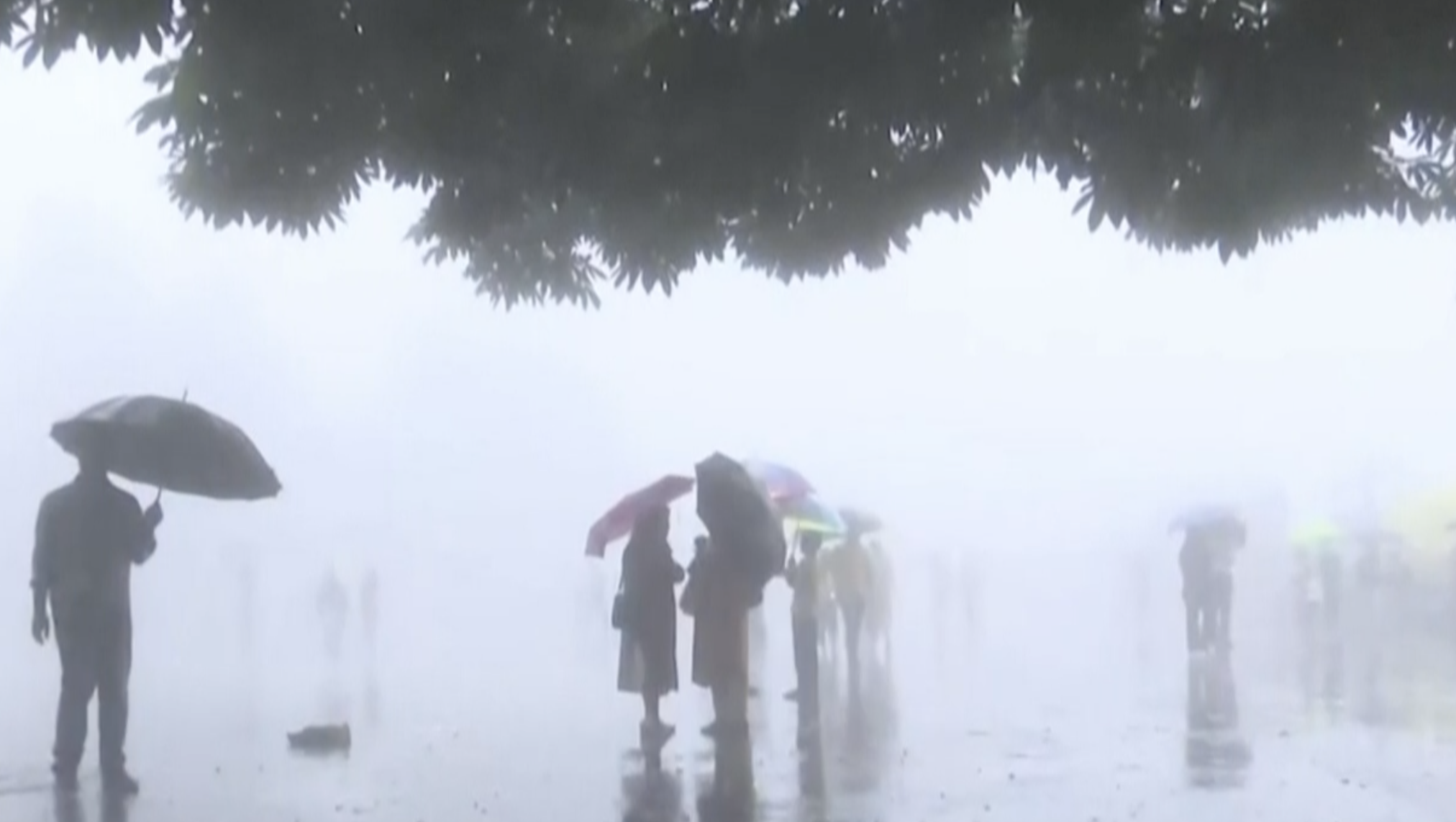 Shimla Hp Heavy Rainfall Lashes Shimla Imd Predicts Moderate