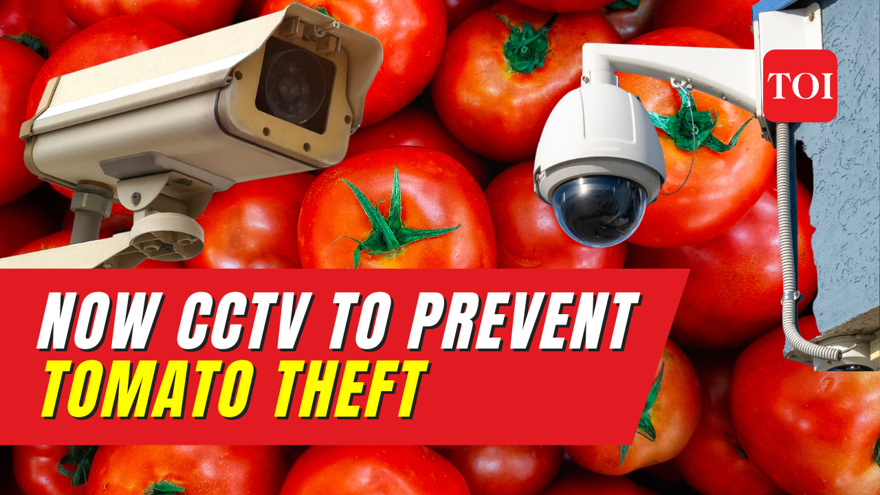 Tomato Skyrocketing prices: Telangana trader installs CCTV camera to ...