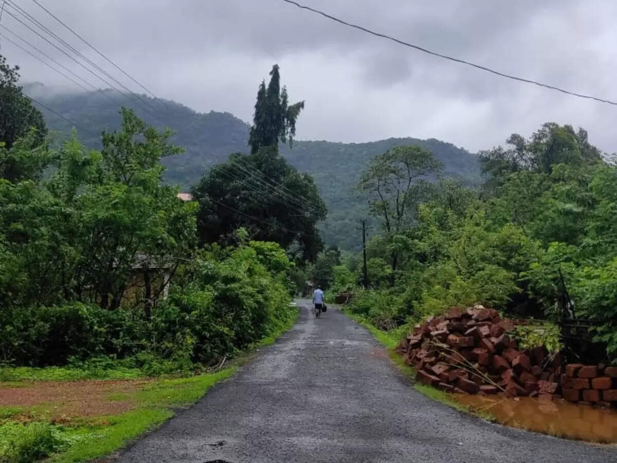 Chorla Ghats in Goa is where you need to be this monsoon season, Goa ...