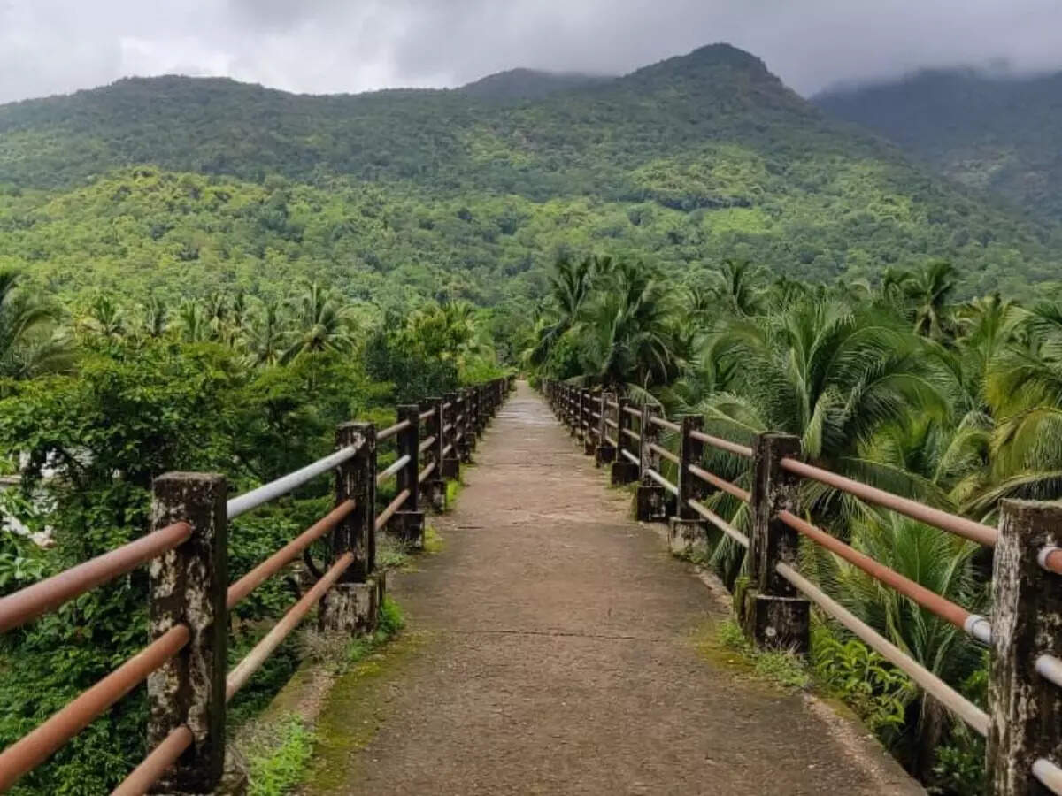 Chorla Ghats in Goa is where you need to be this monsoon season, Goa ...