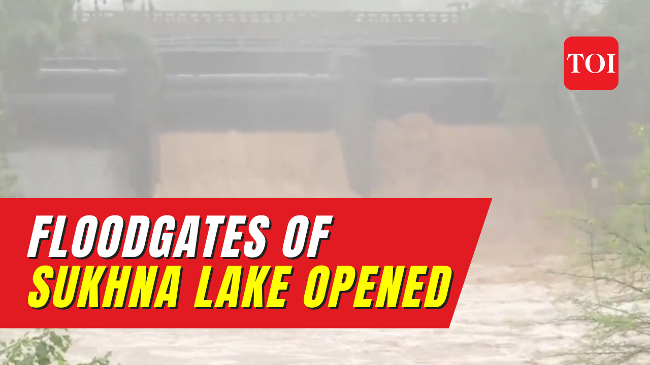Chandigarh's Sukhna Lake floodgates opened as water level crosses ...