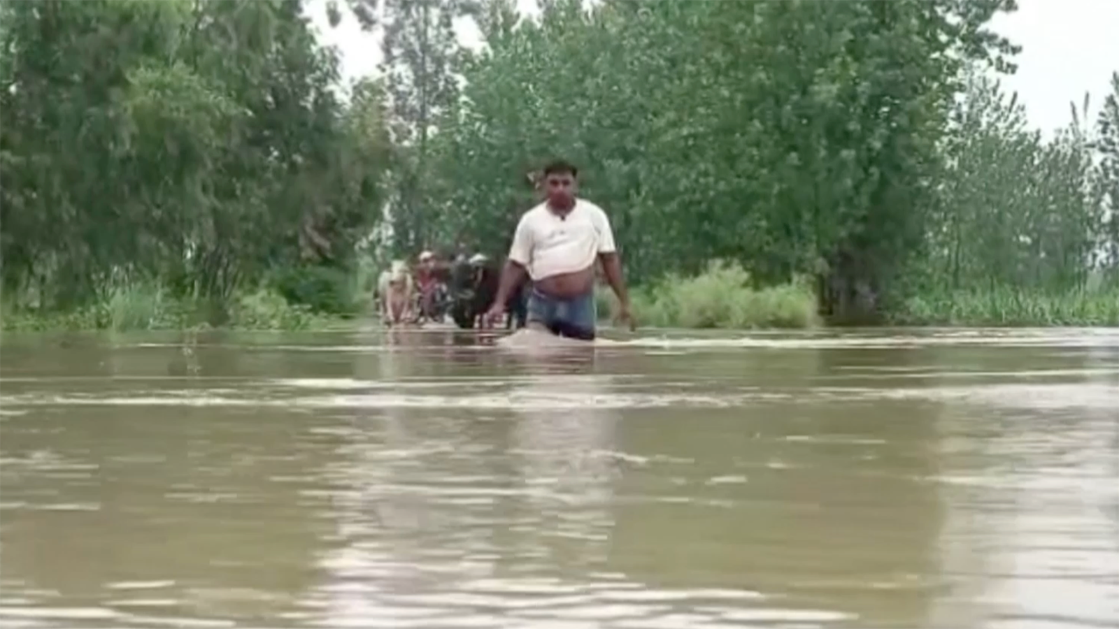 UP: Flood-like situations arise in Moradabad due to rising water levels ...