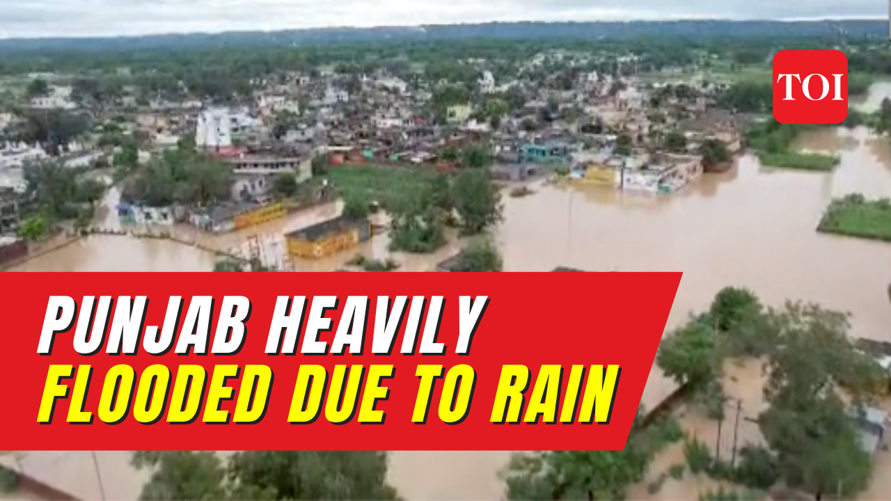 flood: Punjab Rains: Aerial footages shows extent of flooding in Punjab ...