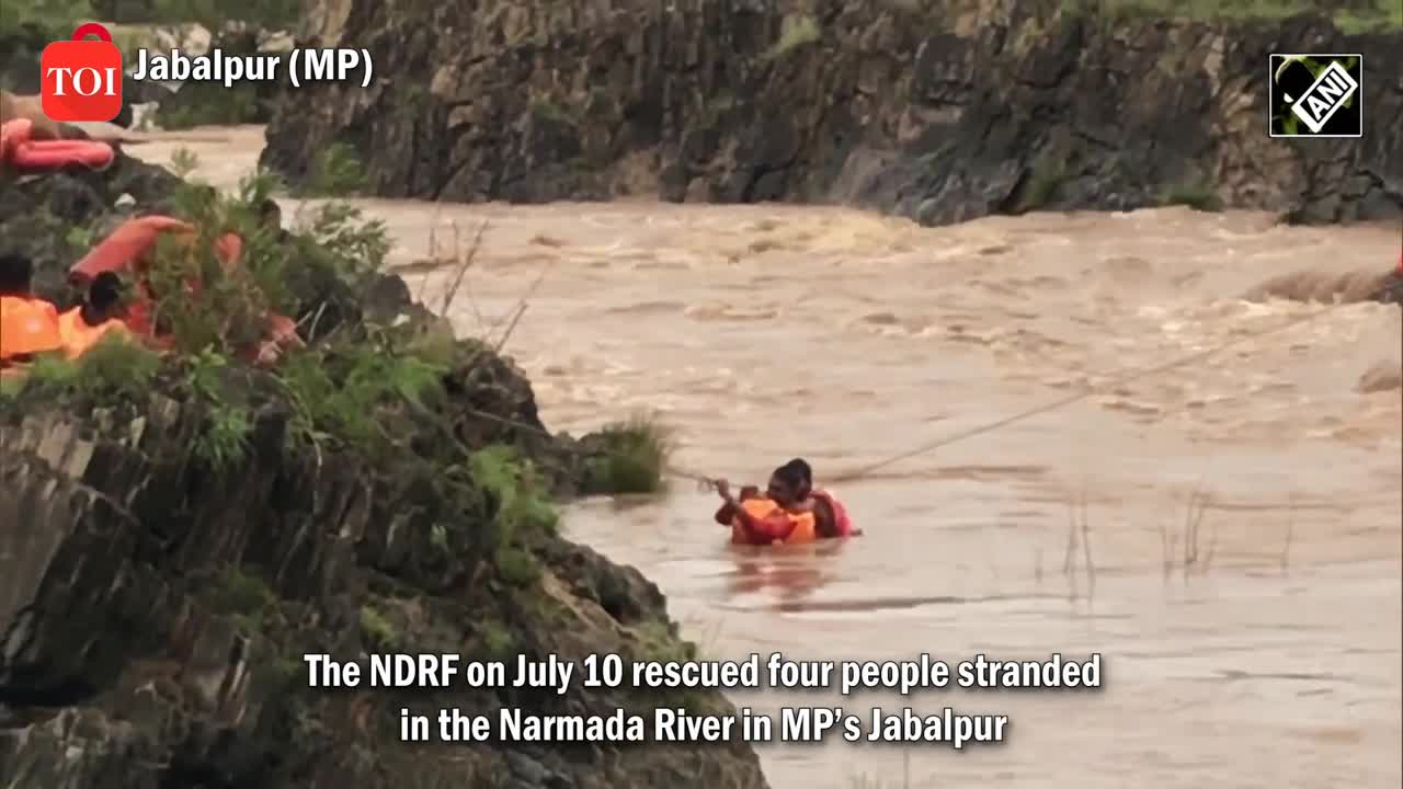 MP: NDRF team rescues four people stranded in Narmada River