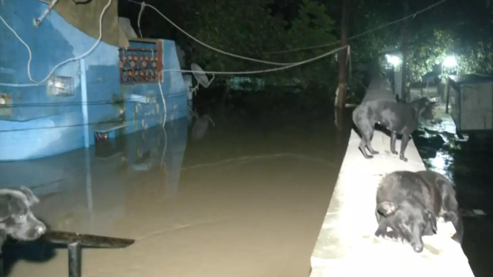 Monsoon rain: Delhi’s Loha Pul area near Old Yamuna Bridge flooded ...
