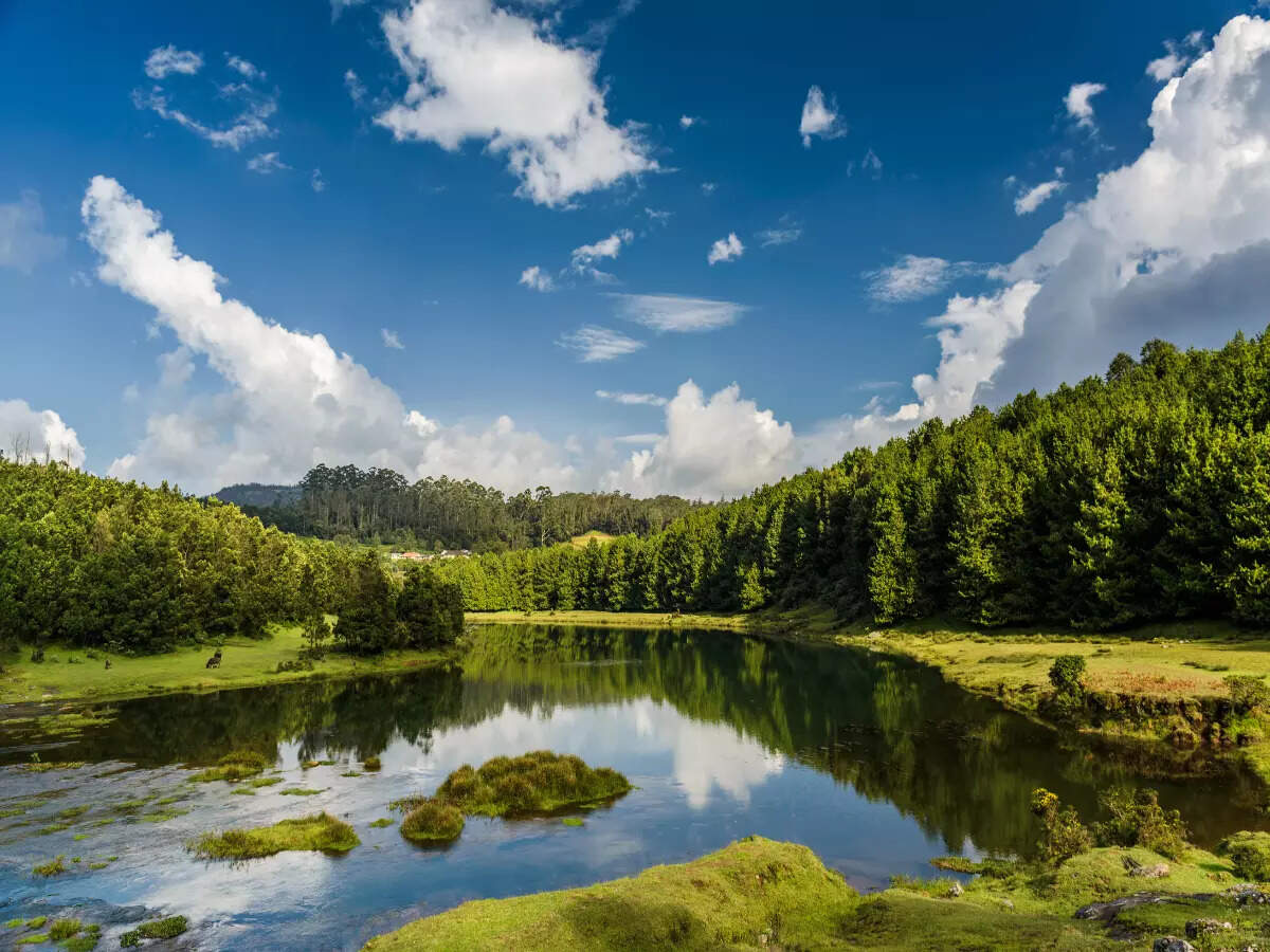 Is this pretty place in your Ooty itinerary?, Ooty - Times of India Travel