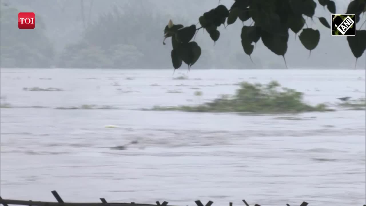 River Yamuna flowing above highest flood level in Delhi