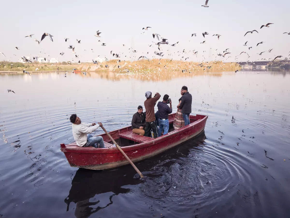 On the banks of Yamuna, the river that cradled empires, Delhi - Times of India Travel