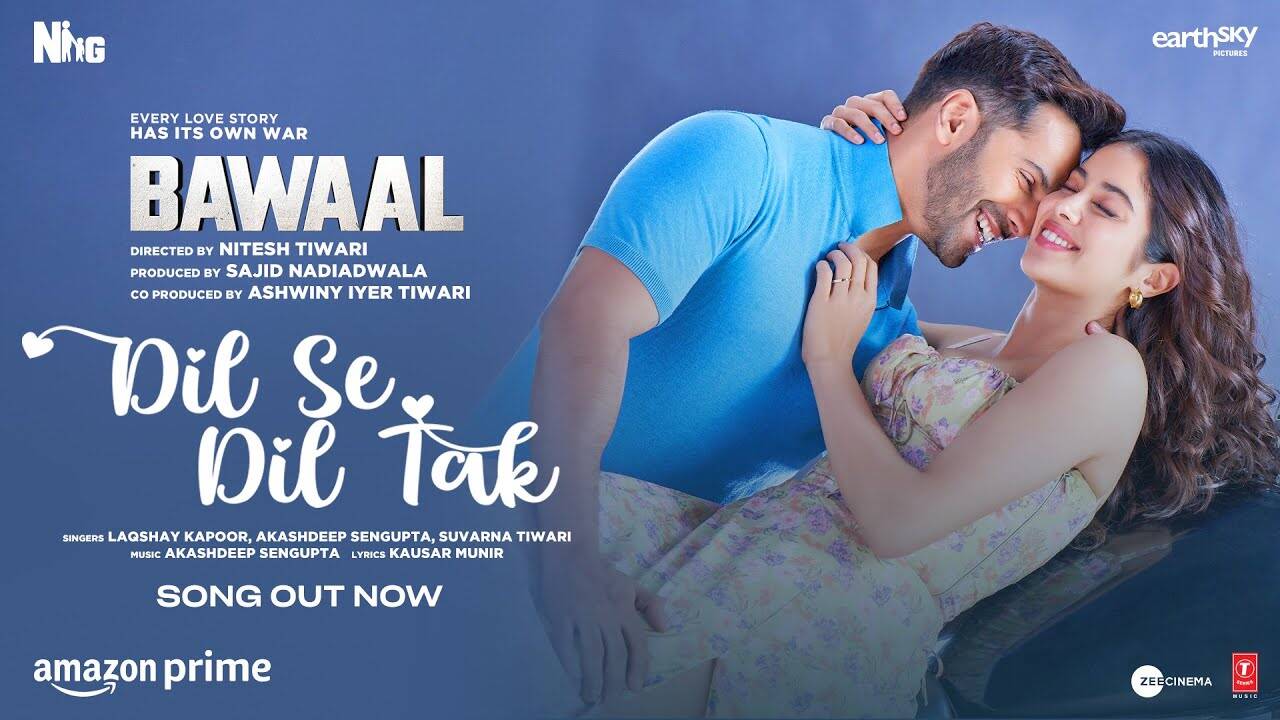Bawaal | Song - Dil Se Dil Tak