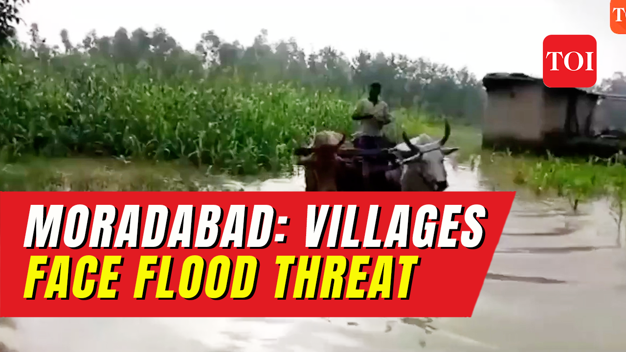 Moradabad: Ramganga water rises, over 1500 villages at risk of flooding