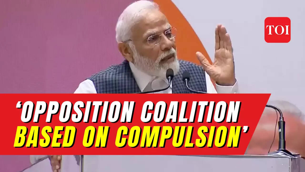 Alliances formed with negativity have never succeeded: PM Narendra Modi