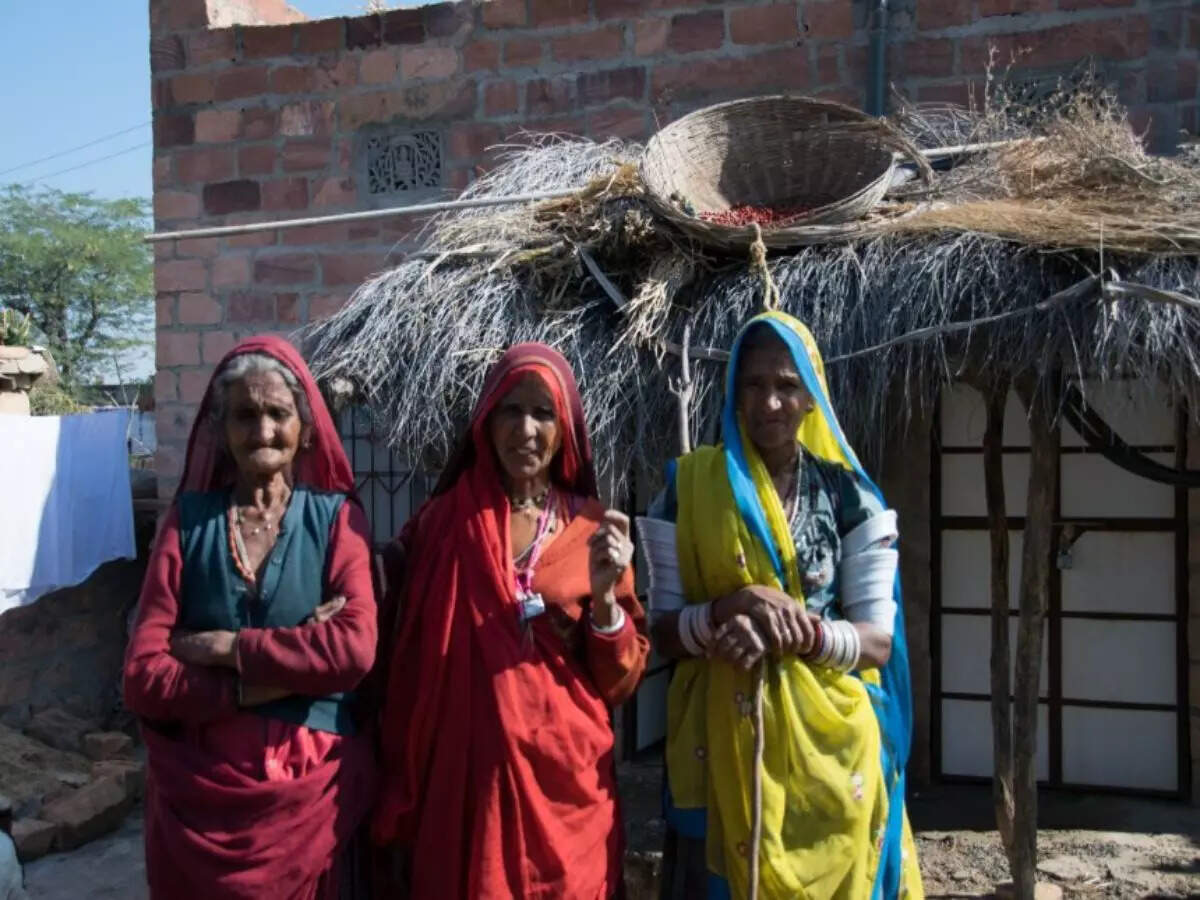 Rajasthan’s Bishnoi village: Where nature meets tradition, - Times of ...
