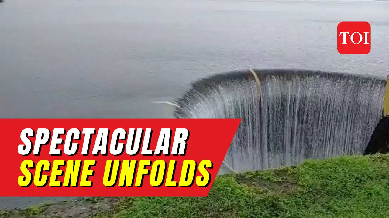 Goa: Selaulim dam overflows from crest, making a beautiful sight