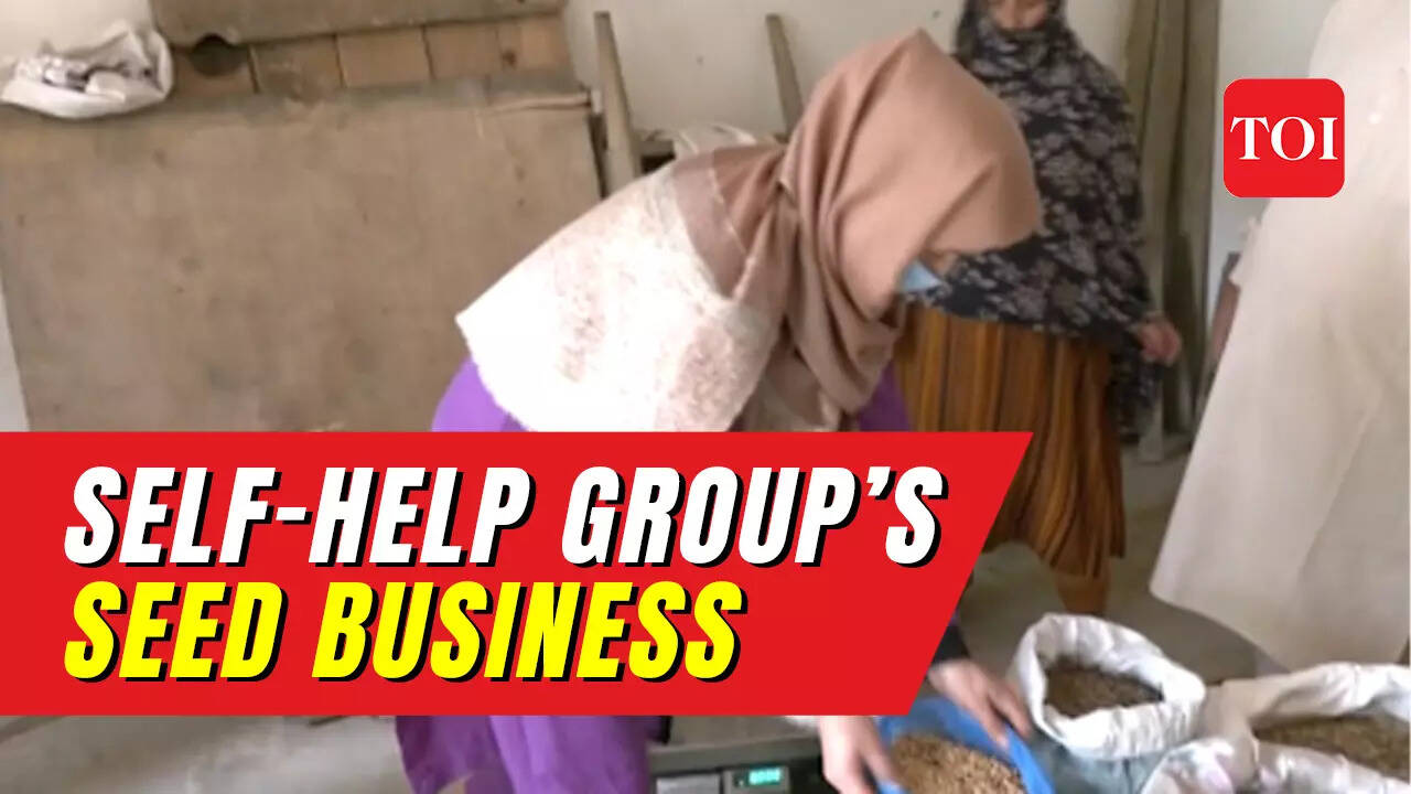 J&K: Self-help group starts seed business in Budgam with help of UMEED ...