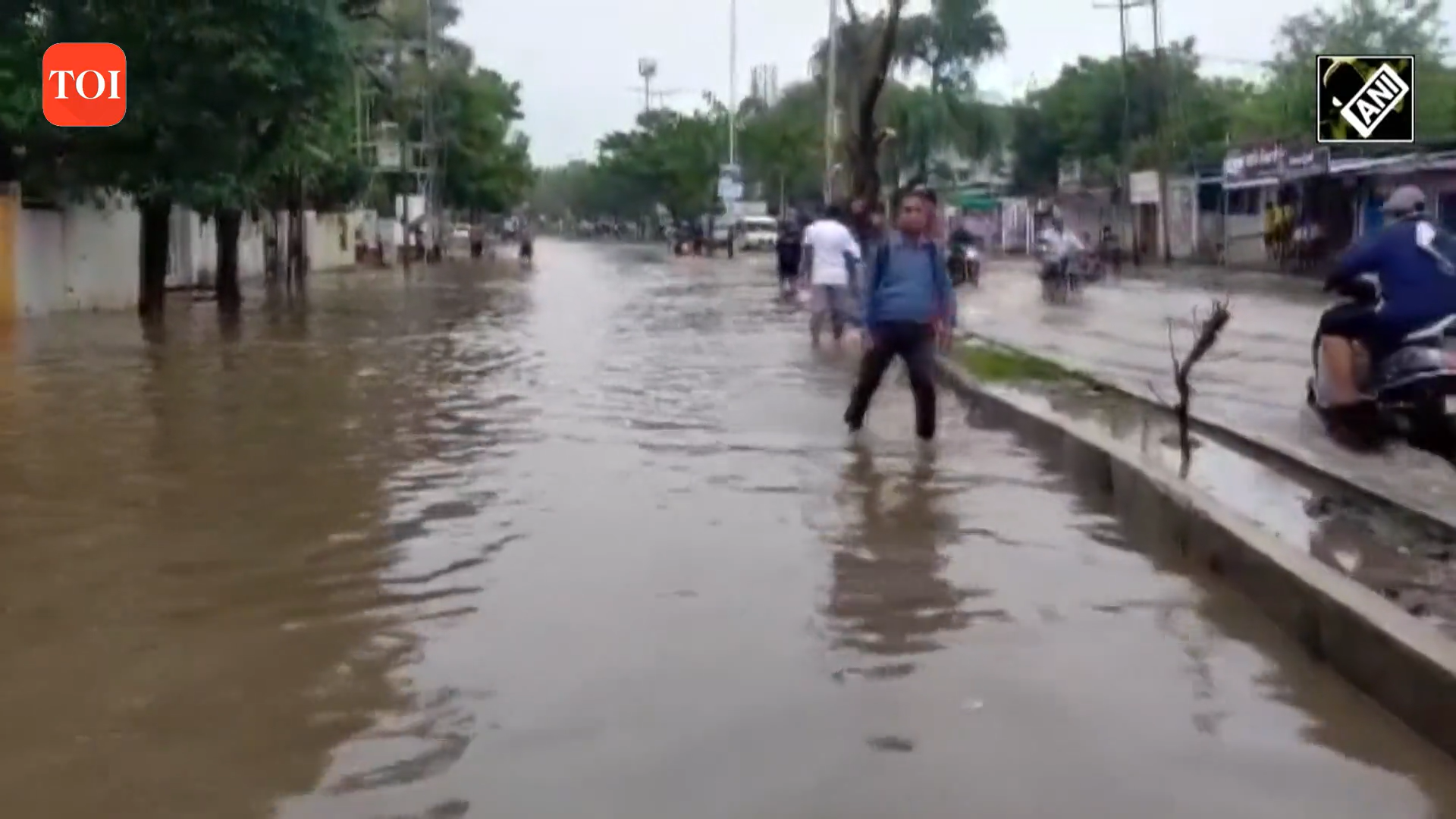 Gujarat: Heavy rainfall leads to waterlogging in Vadodara