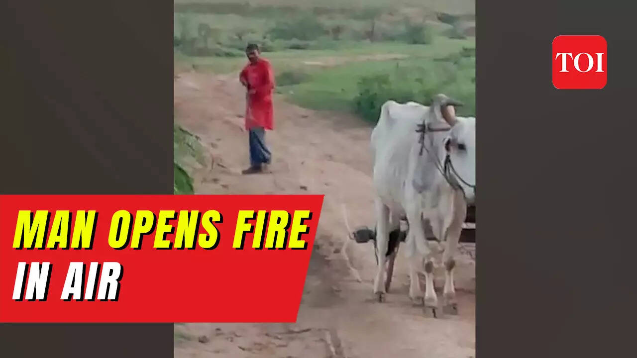 Man opens fire in air to threaten brother in MP's Chhatarpur district ...