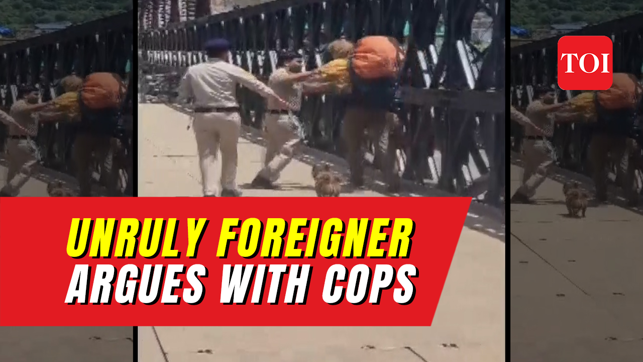 Watch: Tourist tries to cross damaged bridge in Kullu, stopped by cops