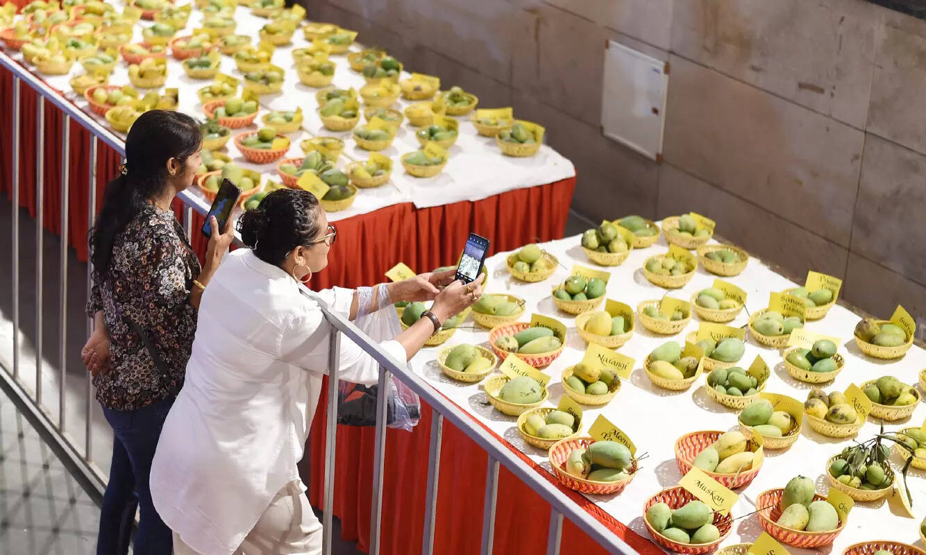 Mango Festival 2023: Aam mania hits the capital- The Etimes ...
