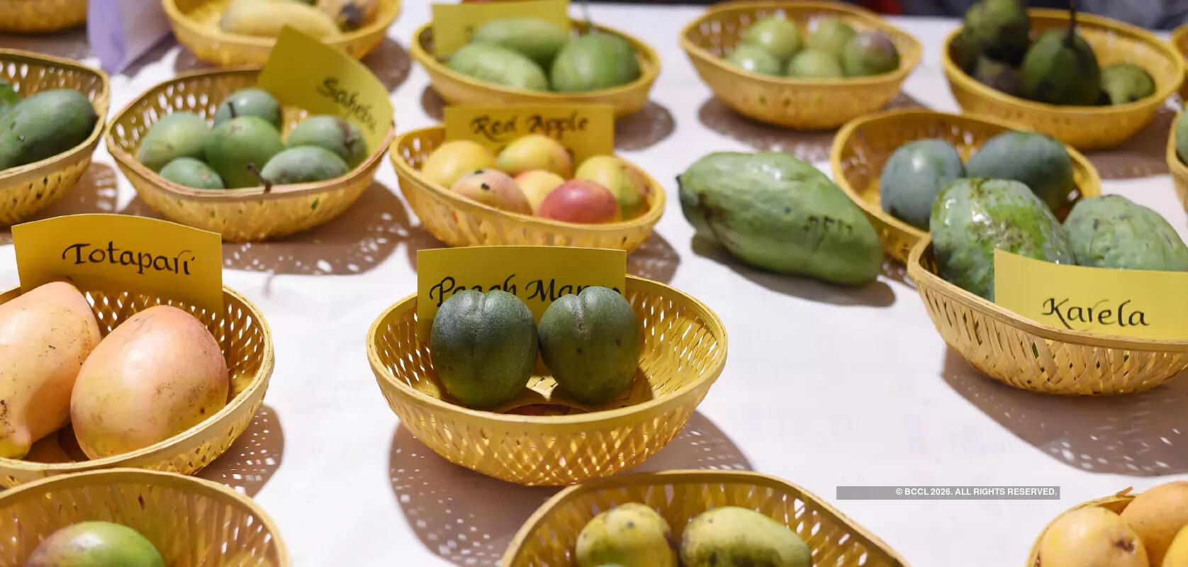 Mango Festival 2023: Aam mania hits the capital- The Etimes ...
