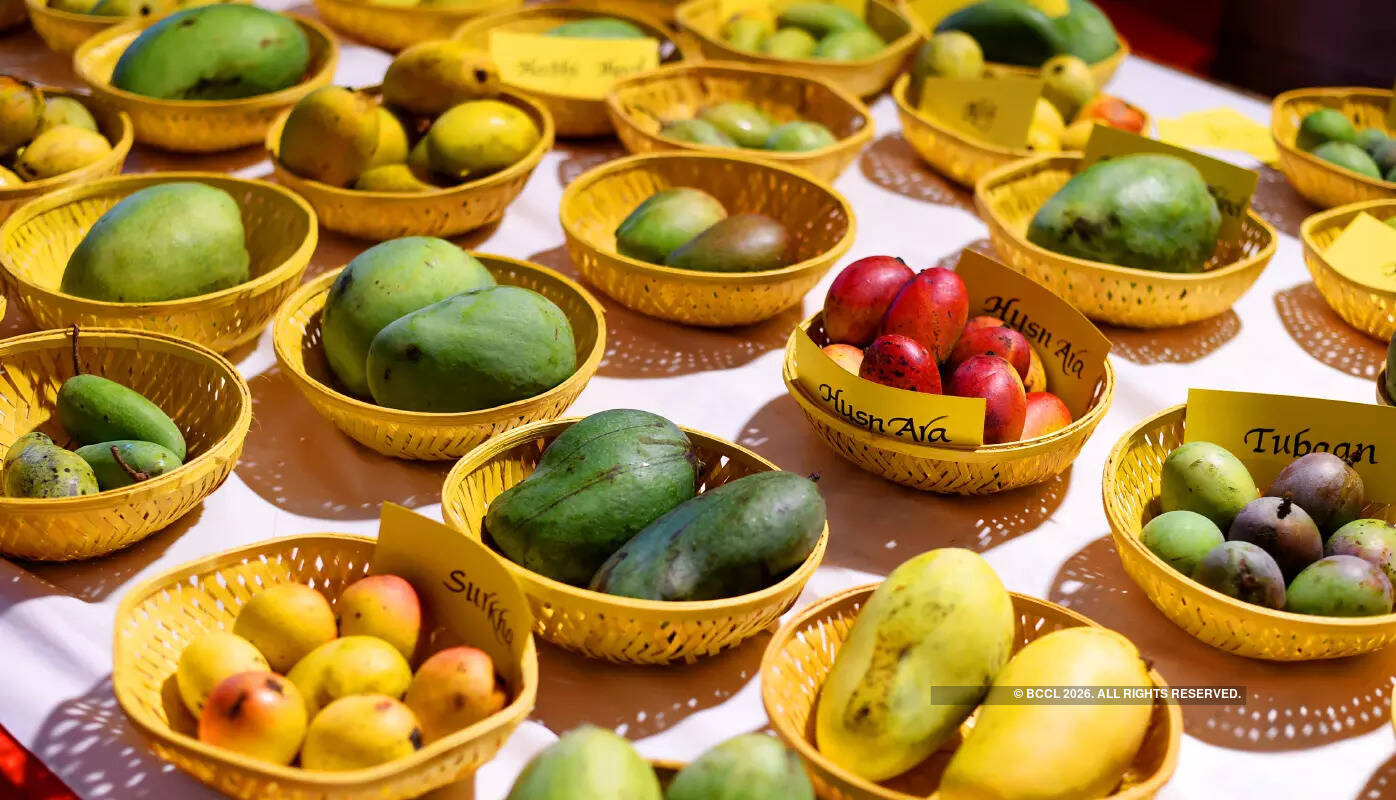 Mango Festival 2023: Aam mania hits the capital- The Etimes ...