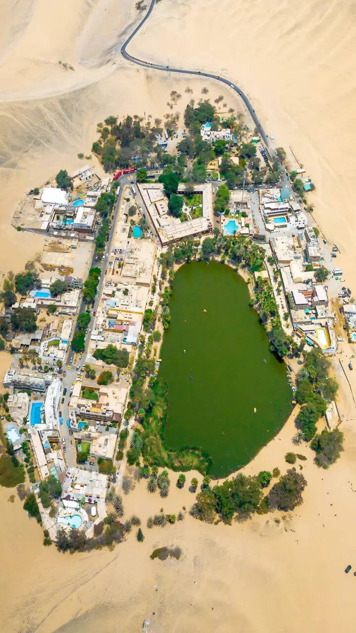 Real Desert Oasis This Resilience And The Future Of Oasis: