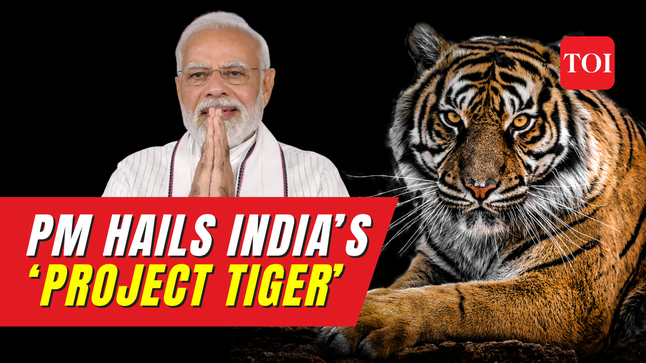 PM Narendra Modi hails India’s efforts to preserve ‘big cats’ at G20 ...