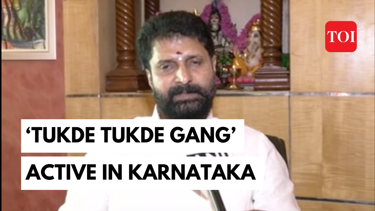 ‘Tukde tukde gang’ active in Karnataka after Congress Govt: BJP Leader CT Ravi