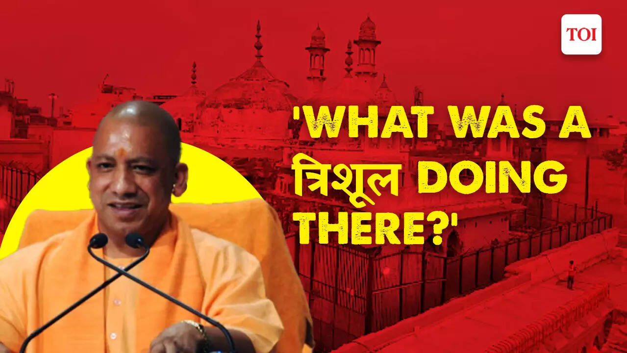 'Inside Gyanvapi, there are deity statues... if we call it a mosque ...