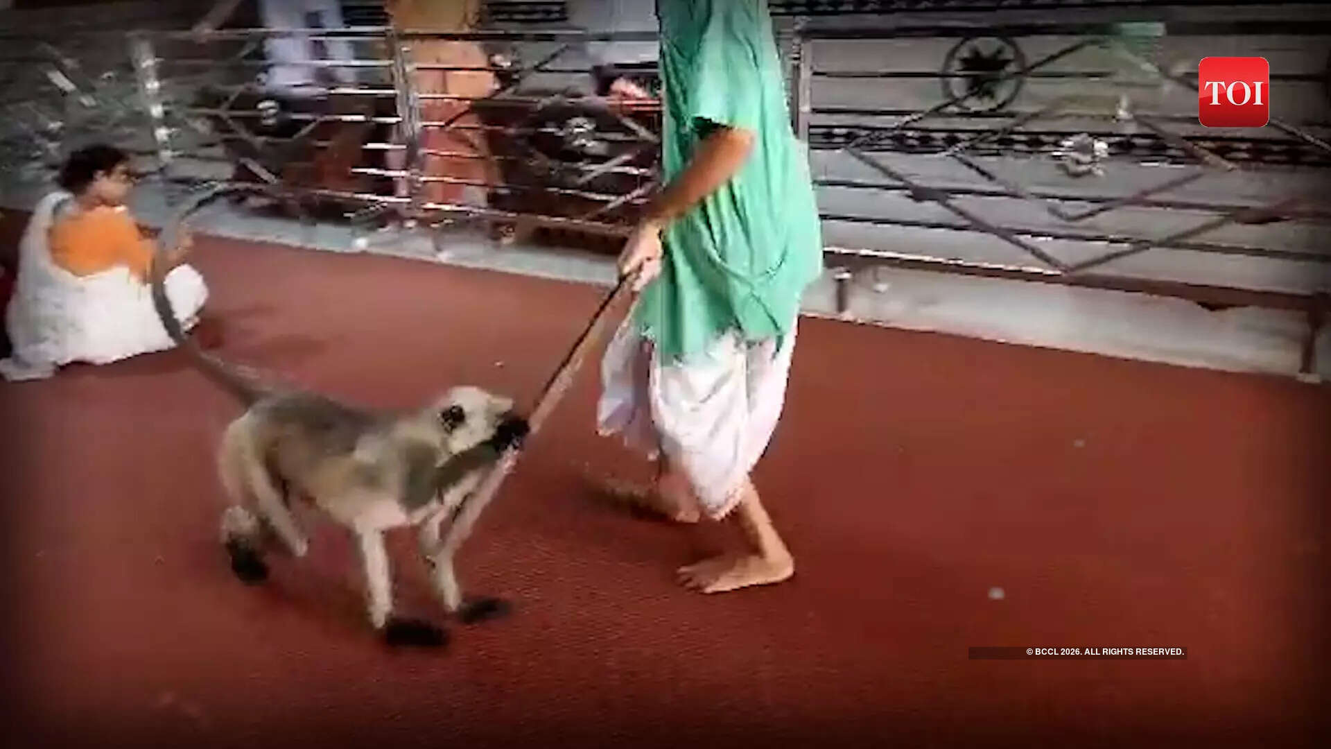 Langoor sits with devotees in the temple of Durgapur, video surfaces