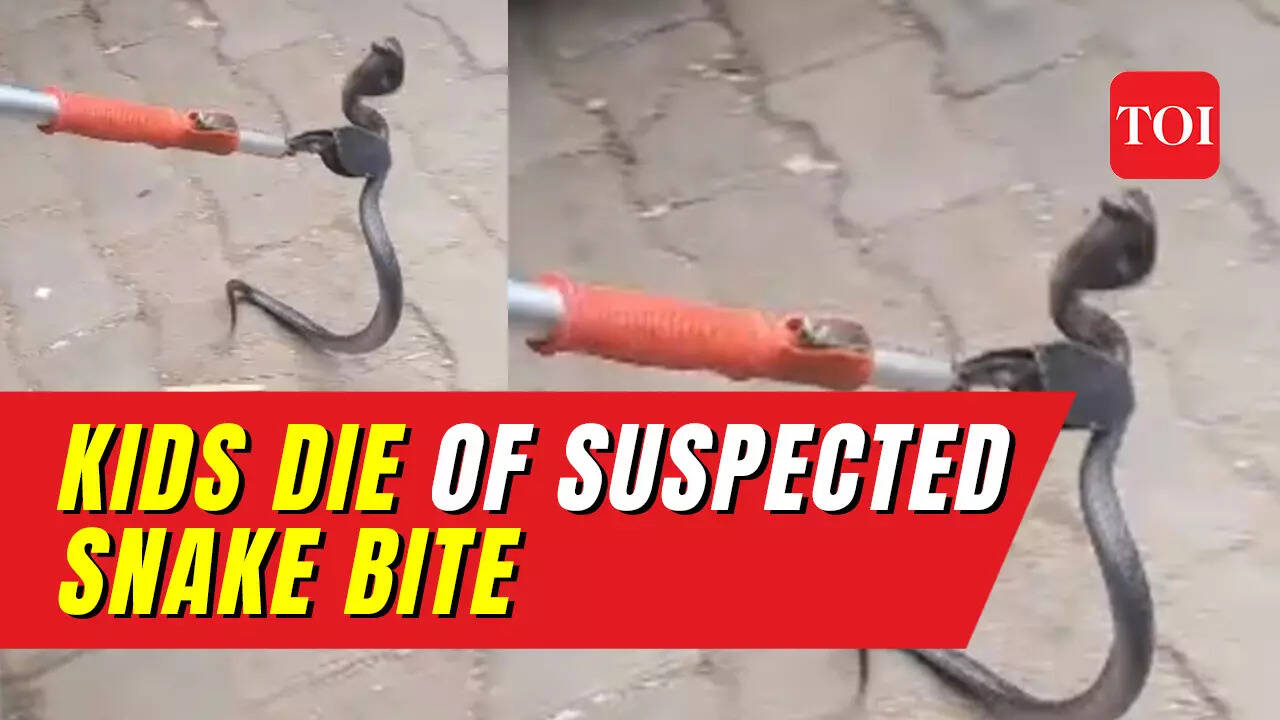 Haryana: Two kids die of suspected snake bite in Kurukshetra's Indbari ...