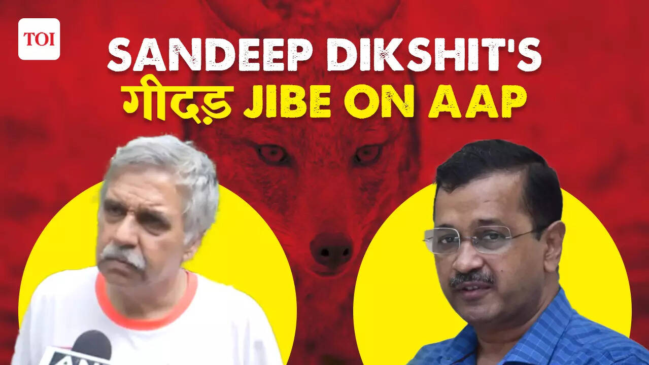 political alliance: 'In a jungle where lions and elephants live ...