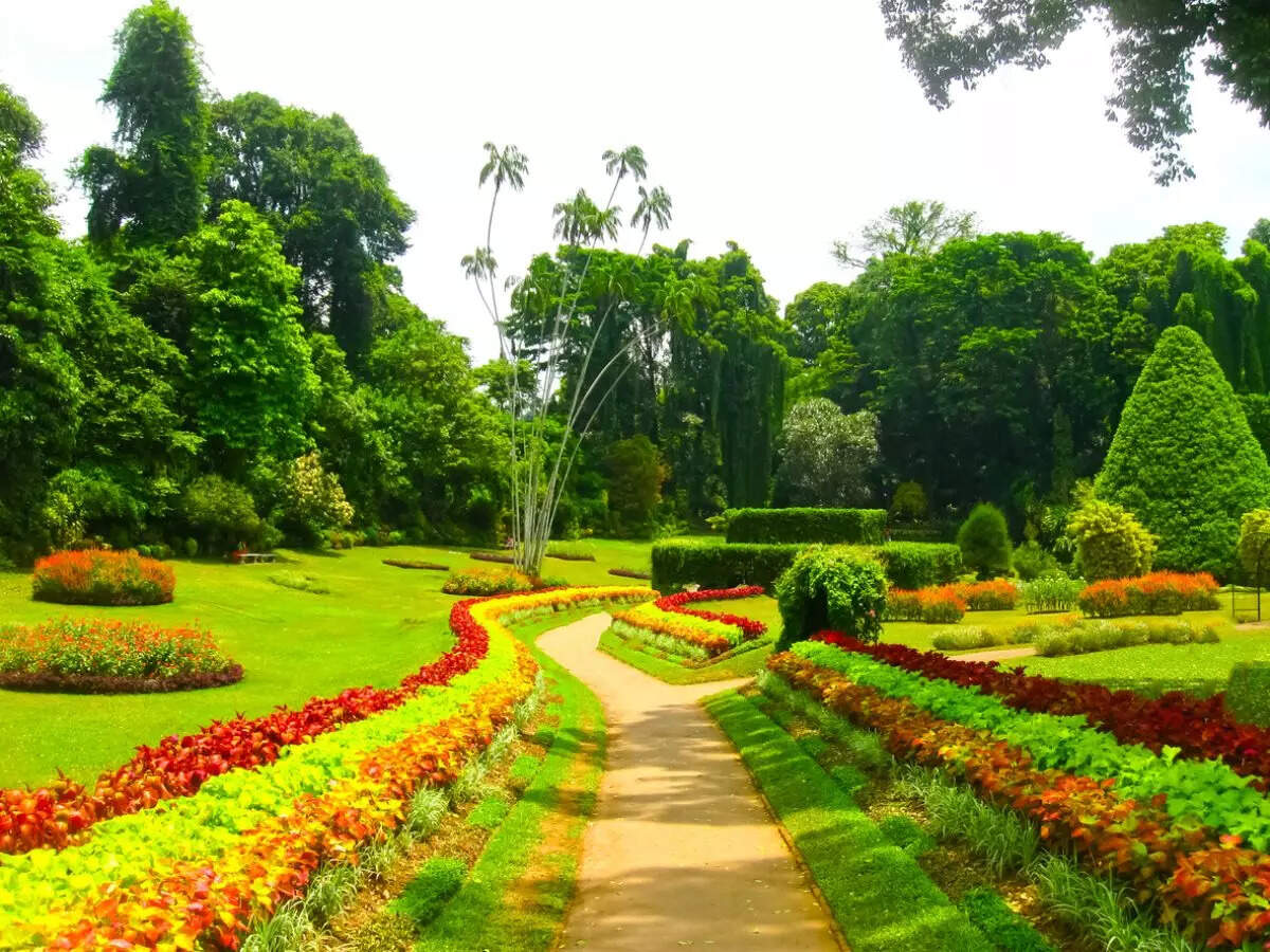 Bangalore’s Lalbagh is raising its own ‘Mini Western Ghats’, - Times of ...