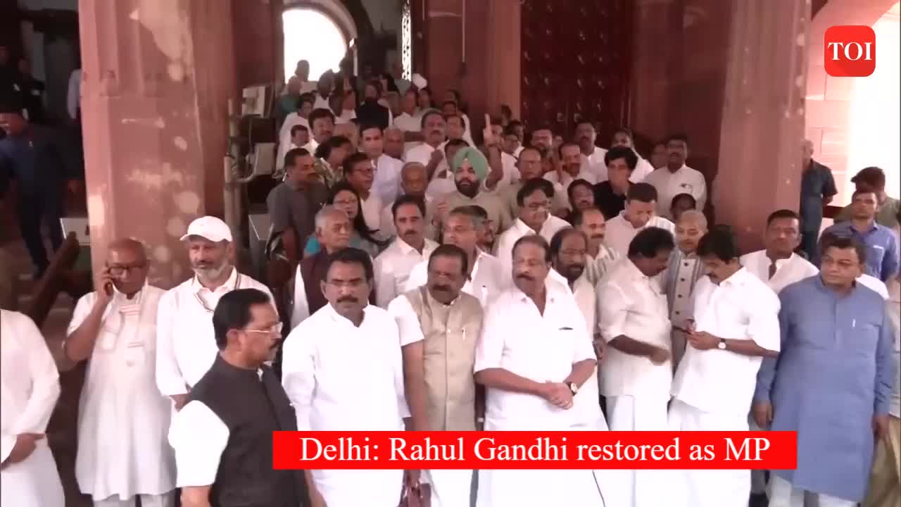Delhi: Rahul Gandhi restored as MP