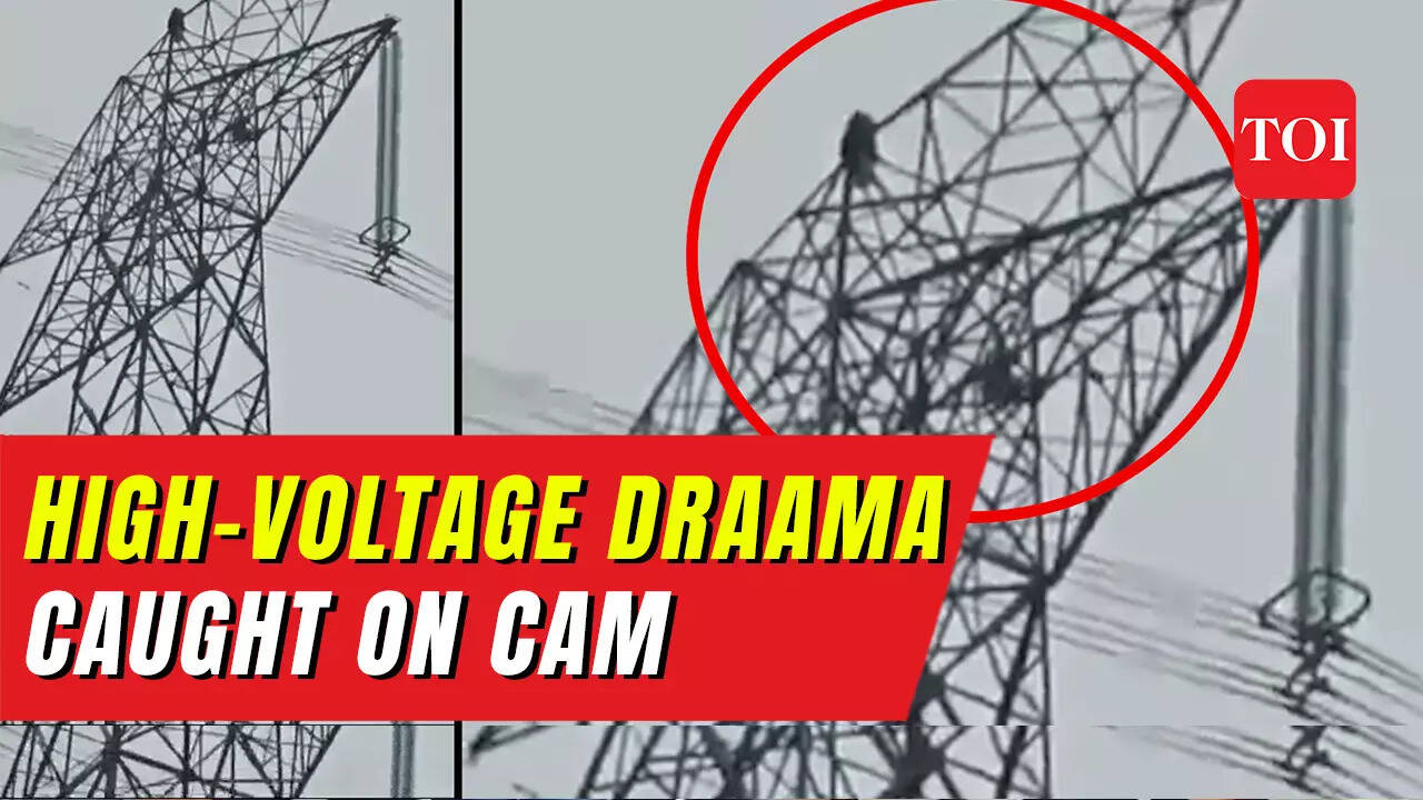 Chhattisgarh: Man climbs 150-ft electric tower to convince girl friend ...