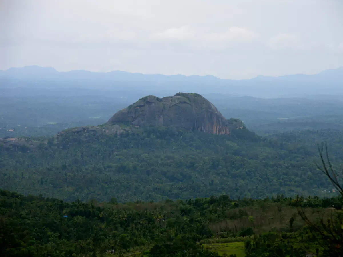 Edakkal Caves stone age engravings are worth a dekko, Kerala - Times of ...