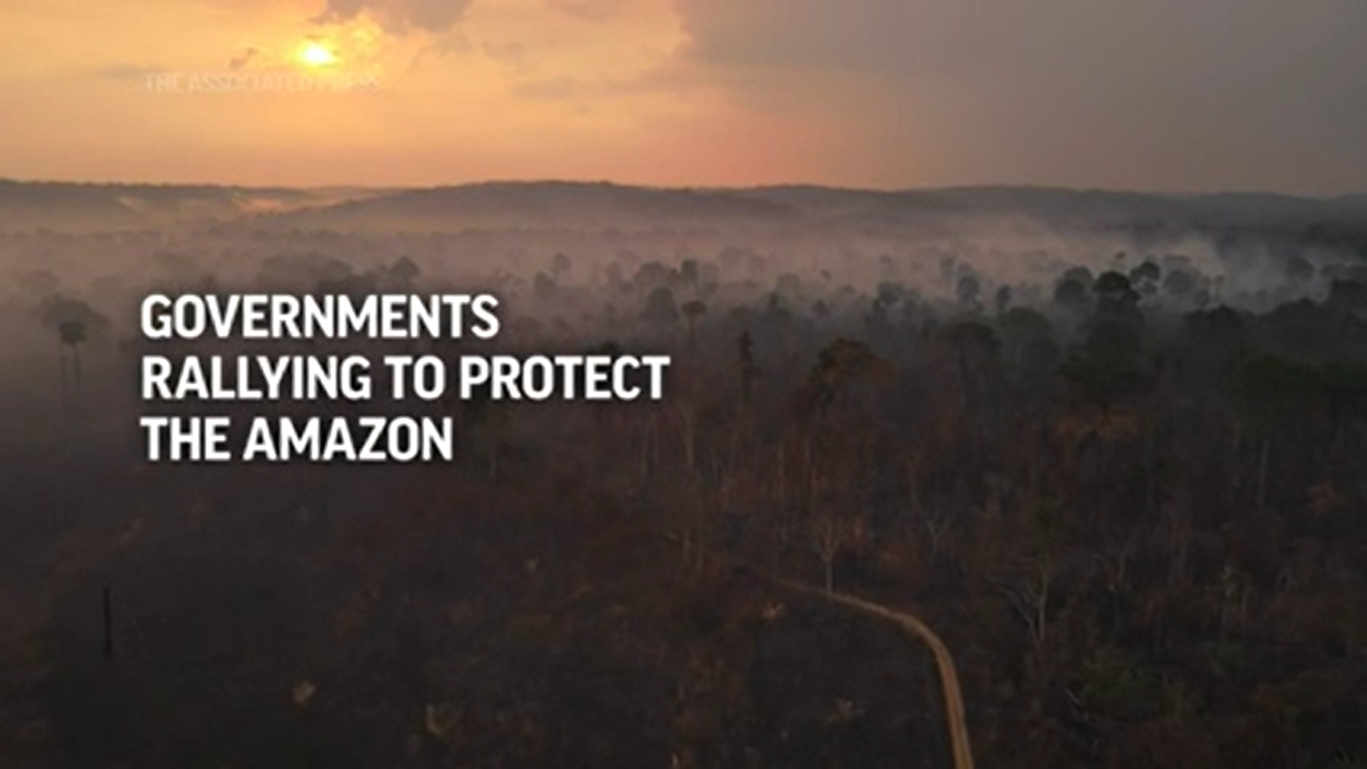 Why are governments rallying to protect the Amazon?