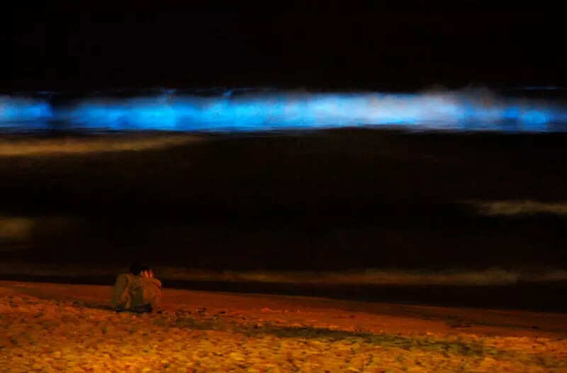 These incredible pictures show the ethereal bioluminescent sea sparkle ...