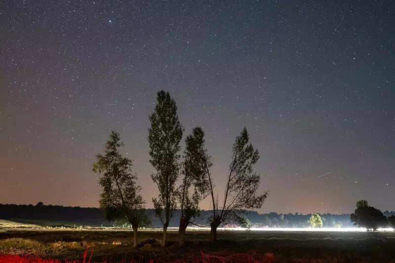 Perseid Meteor Shower 2023: Spectacular pictures show shooting stars ...