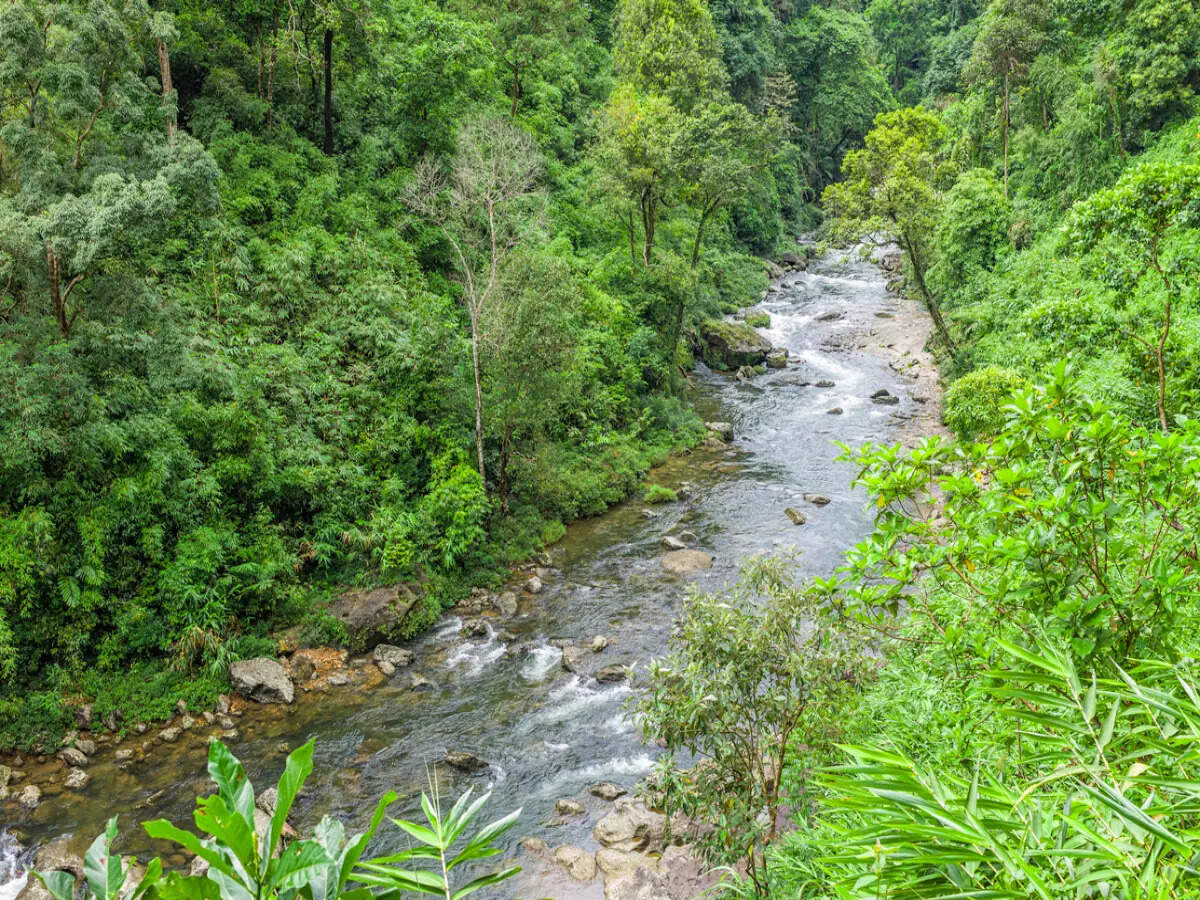 Breathtaking beauty of Laitlum Canyons in Meghalaya, Meghalaya - Times ...