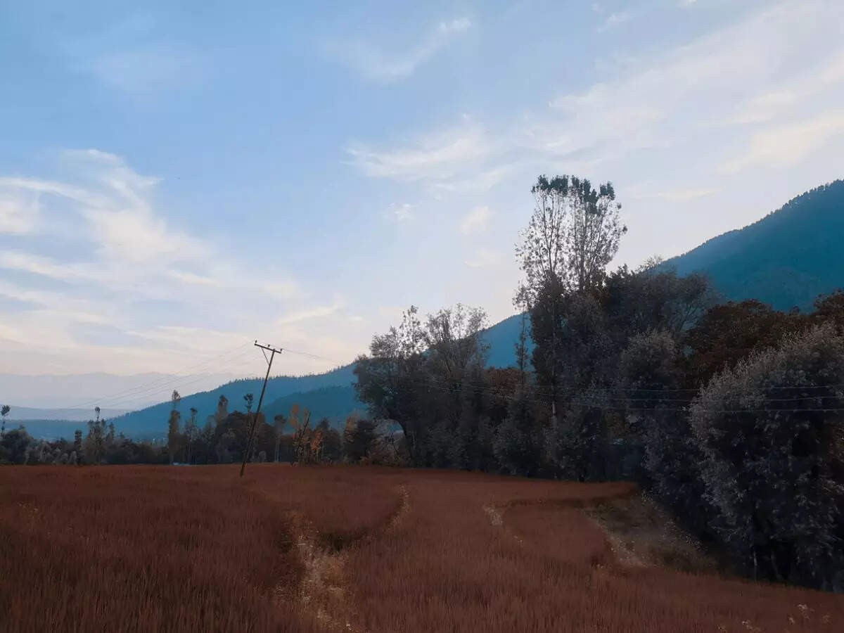 Do you know there’s a Sadhna Pass in Kashmir, named after famous Hindi ...